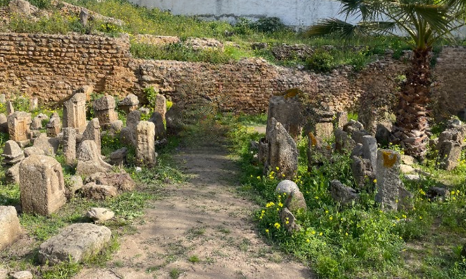 A Trip to Ancient Carthage – Traveling Tribe